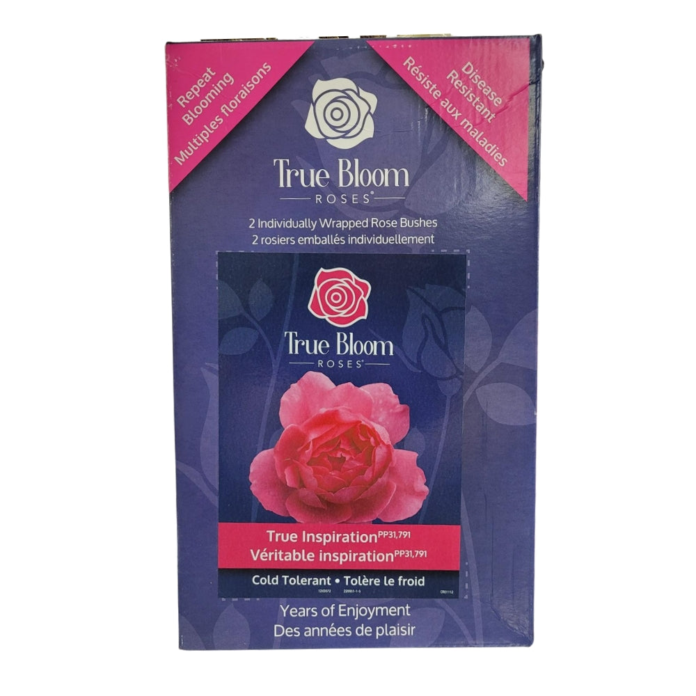 True Bloom Roses - Assortiment de roses – CHAP Aubaines
